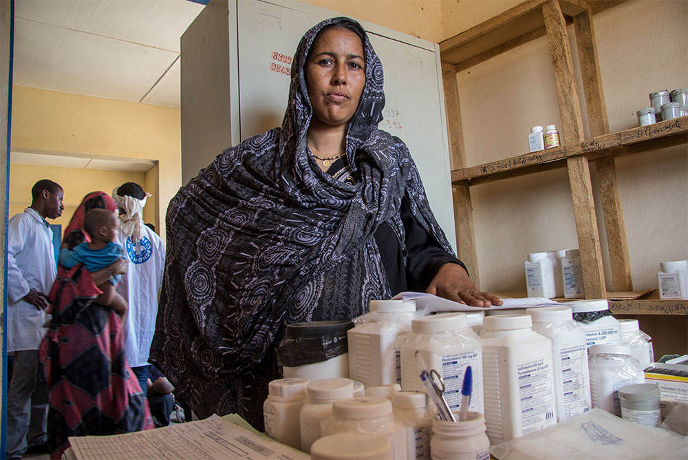 Strengthening Access to Healthcare in Northern Mali: An Update ...